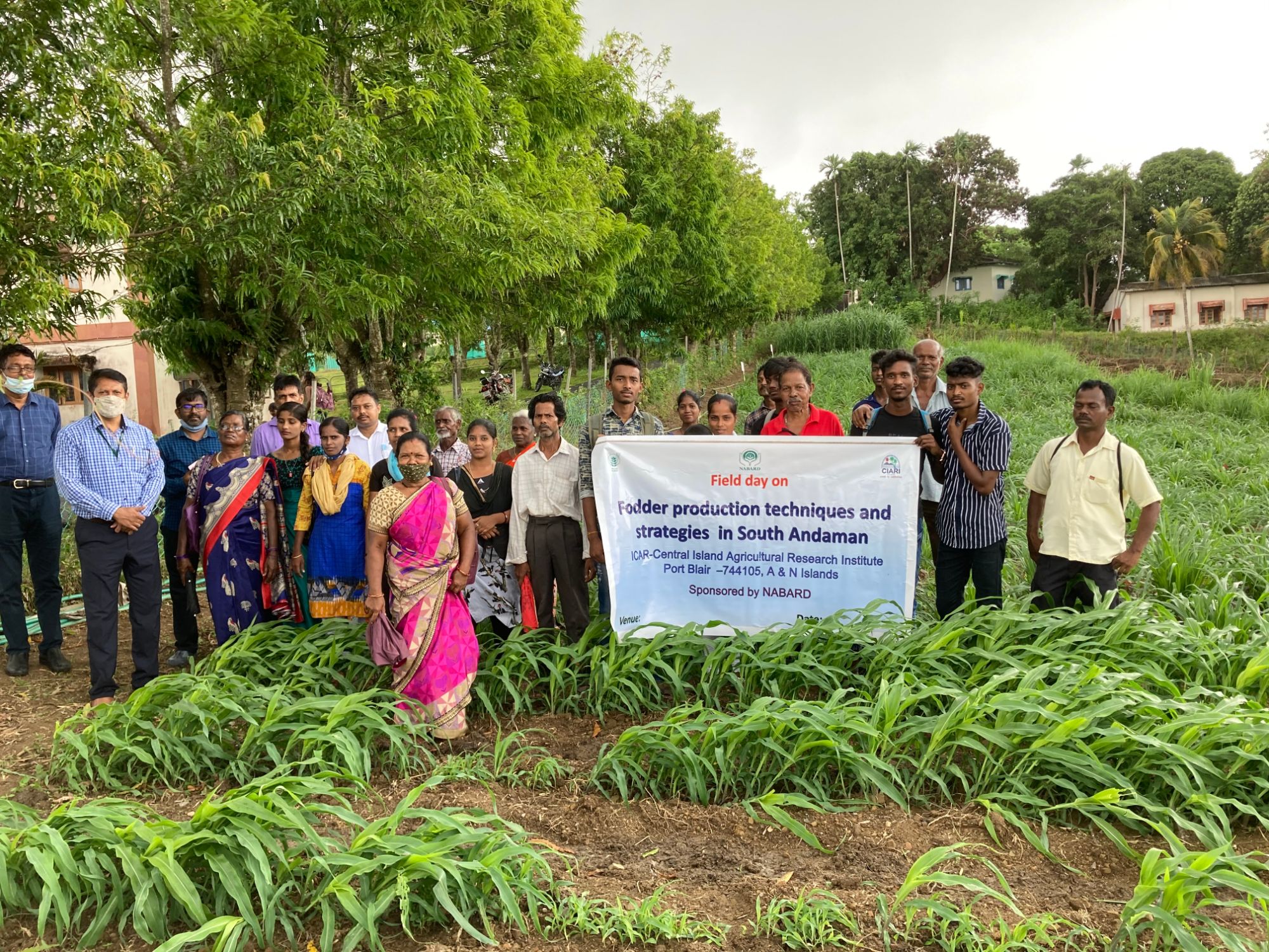 Field Day on Fodder Production Strategies in The Islands – AgriBot ...