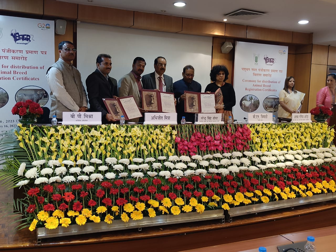 BAU Gets ICAR Registration Certificates for Two New Pig Breeds Banda ...