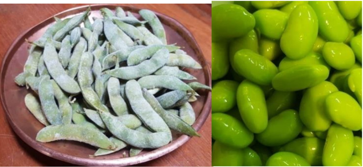 Vegetable Soybean Variety Swarna Vasundhara: An Opportunity for Agri ...