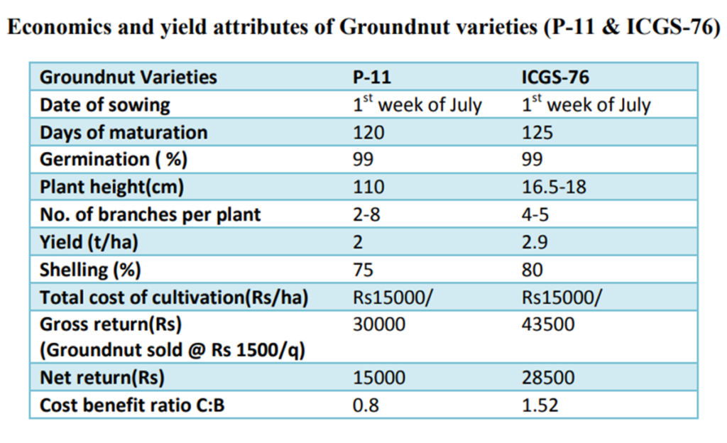 Crop Diversification Through Groundnut Cultivation for Sustainable ...
