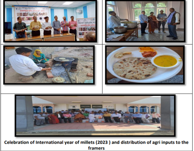 International Year of millets (Shri Anna) Year: 2023 – AgriBot | News ...