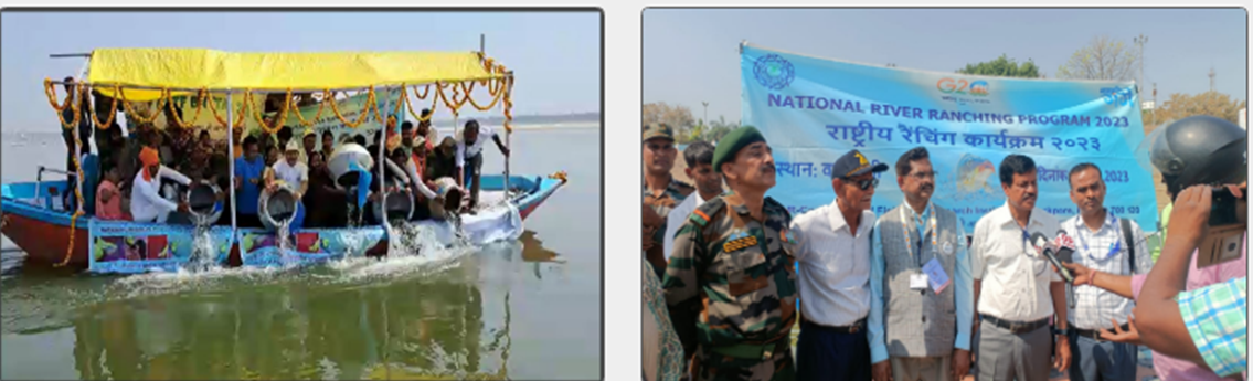 Two Lakh Twelve Thousand IMC Fish Seeds Released in the Ganga River at ...