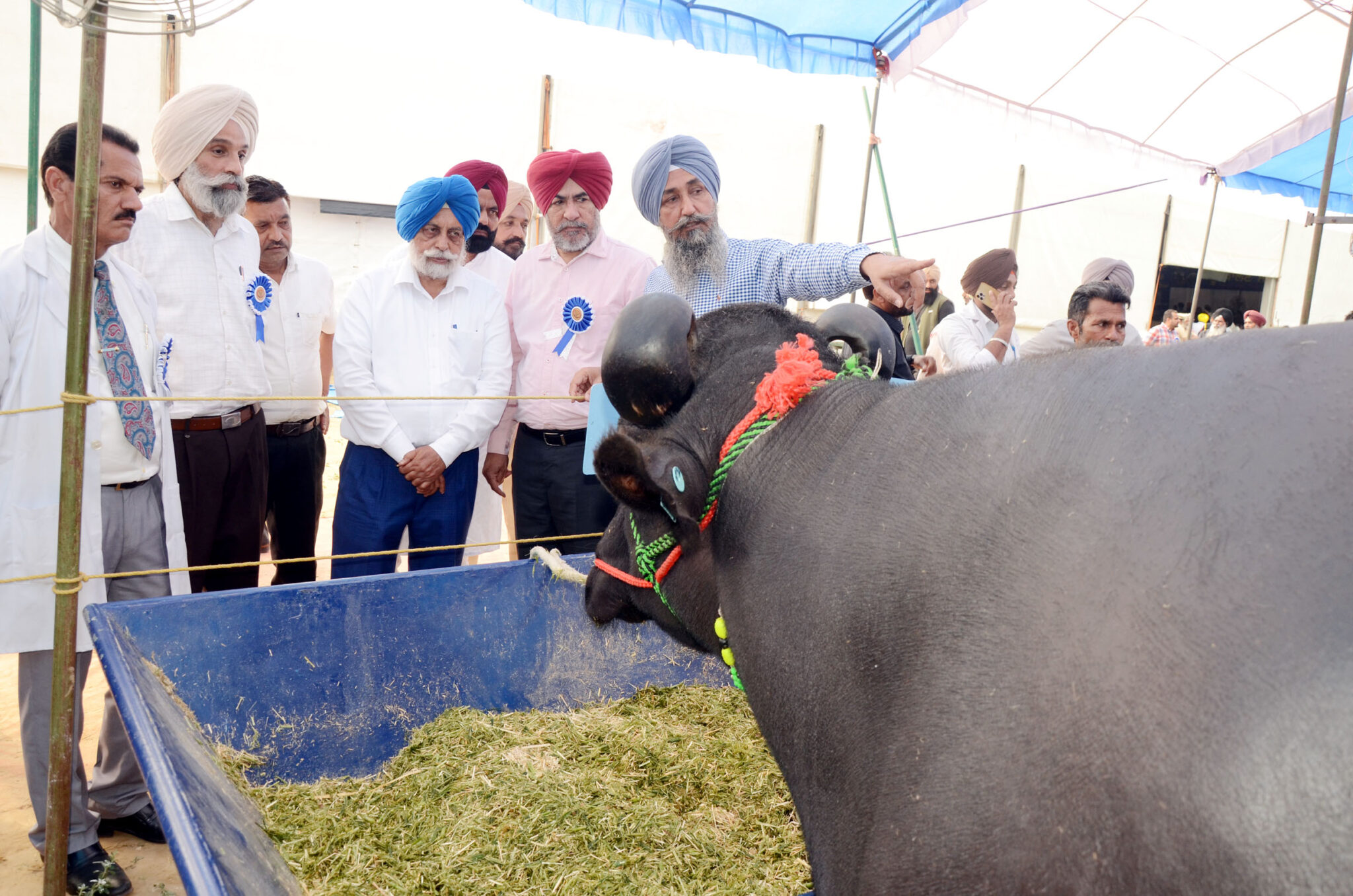 Pashu Palan Mela at Vet. Varsity – AgriBot | News, Articles and Events ...