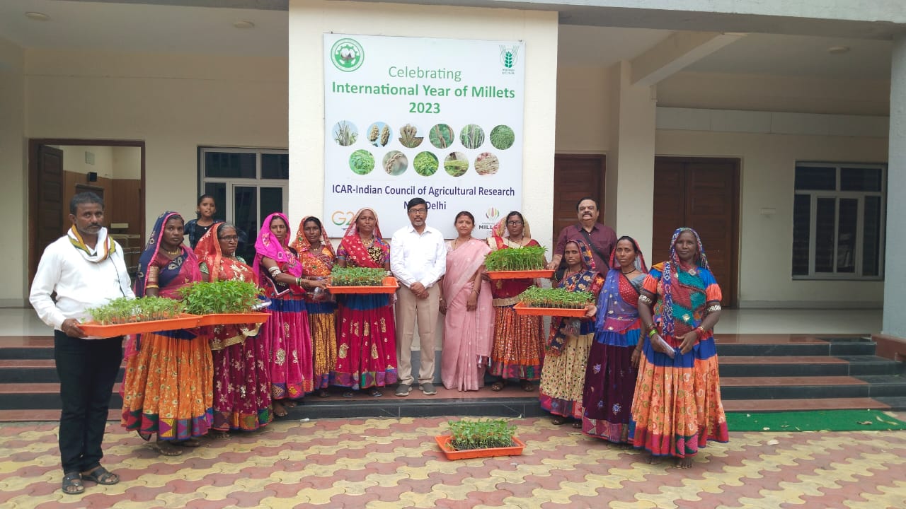 Nutri Garden for Sustainable Nutrition for Human Health – AgriBot ...