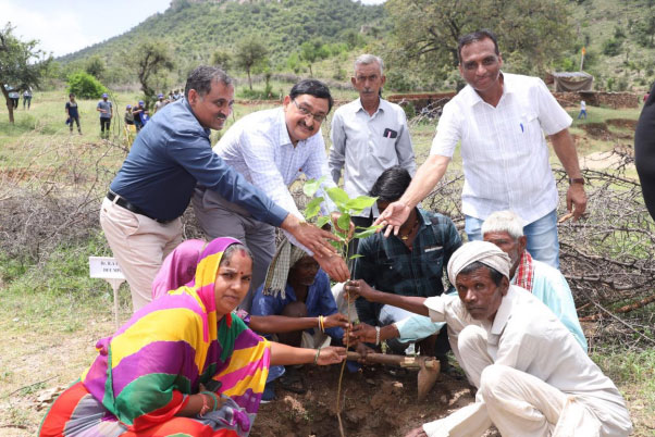Major Tree Plantation Program Under the Amrit Mahotsav of Independence ...